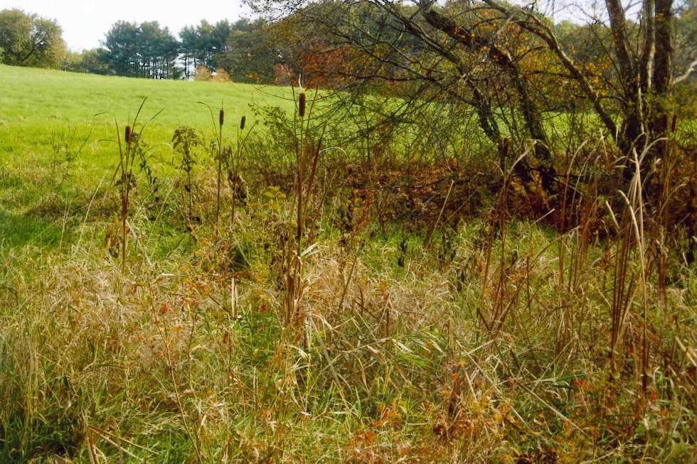 Frost Farm Conservation Land » Sudbury