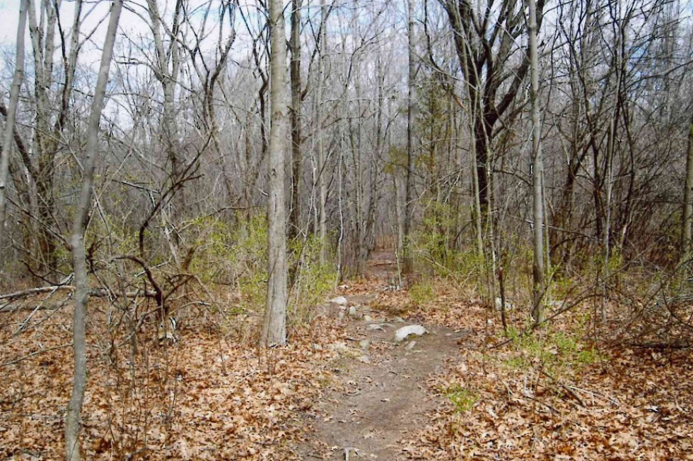 Nobscot Conservation Land » Sudbury