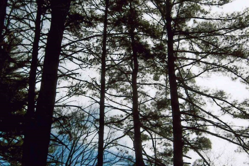 Nobscot Conservation Land » Sudbury