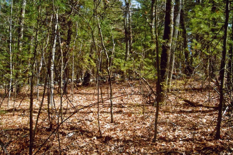 Tippling Rock Trail » Sudbury